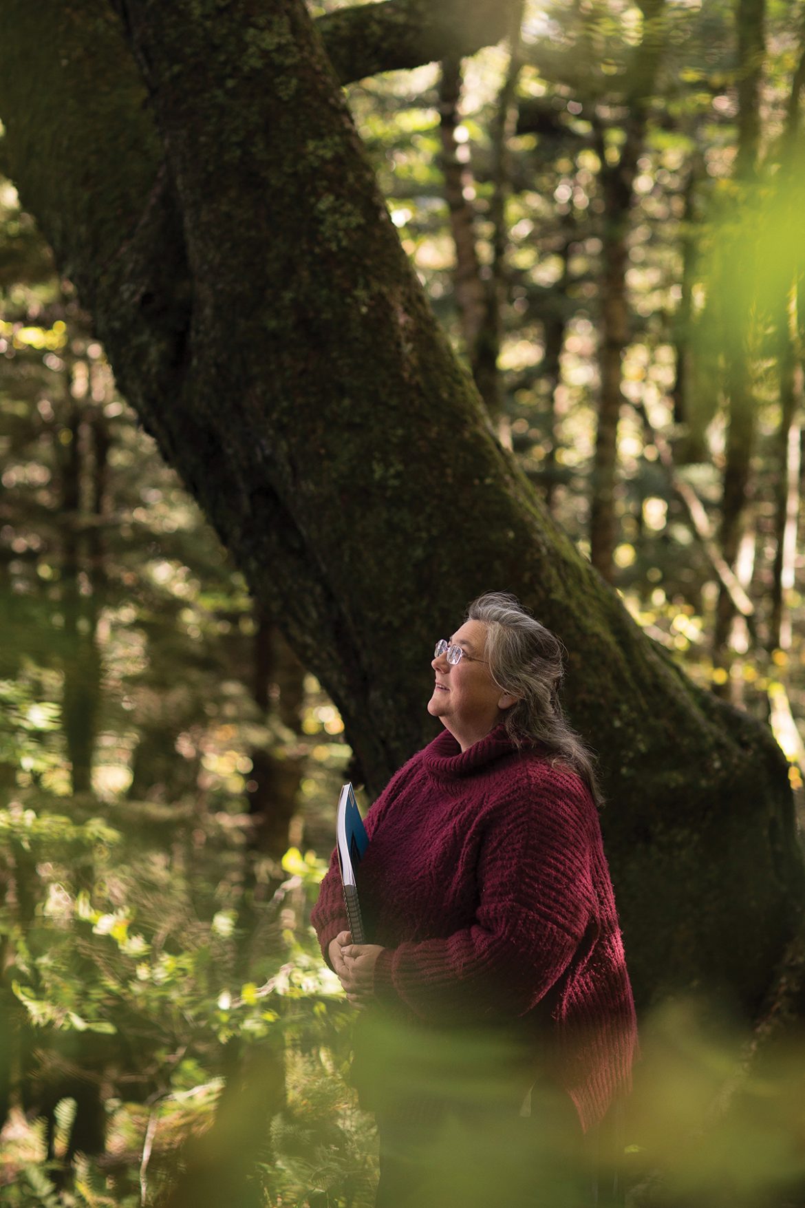 Why Trees Make The Best Models for Life Drawing – Asheville Made